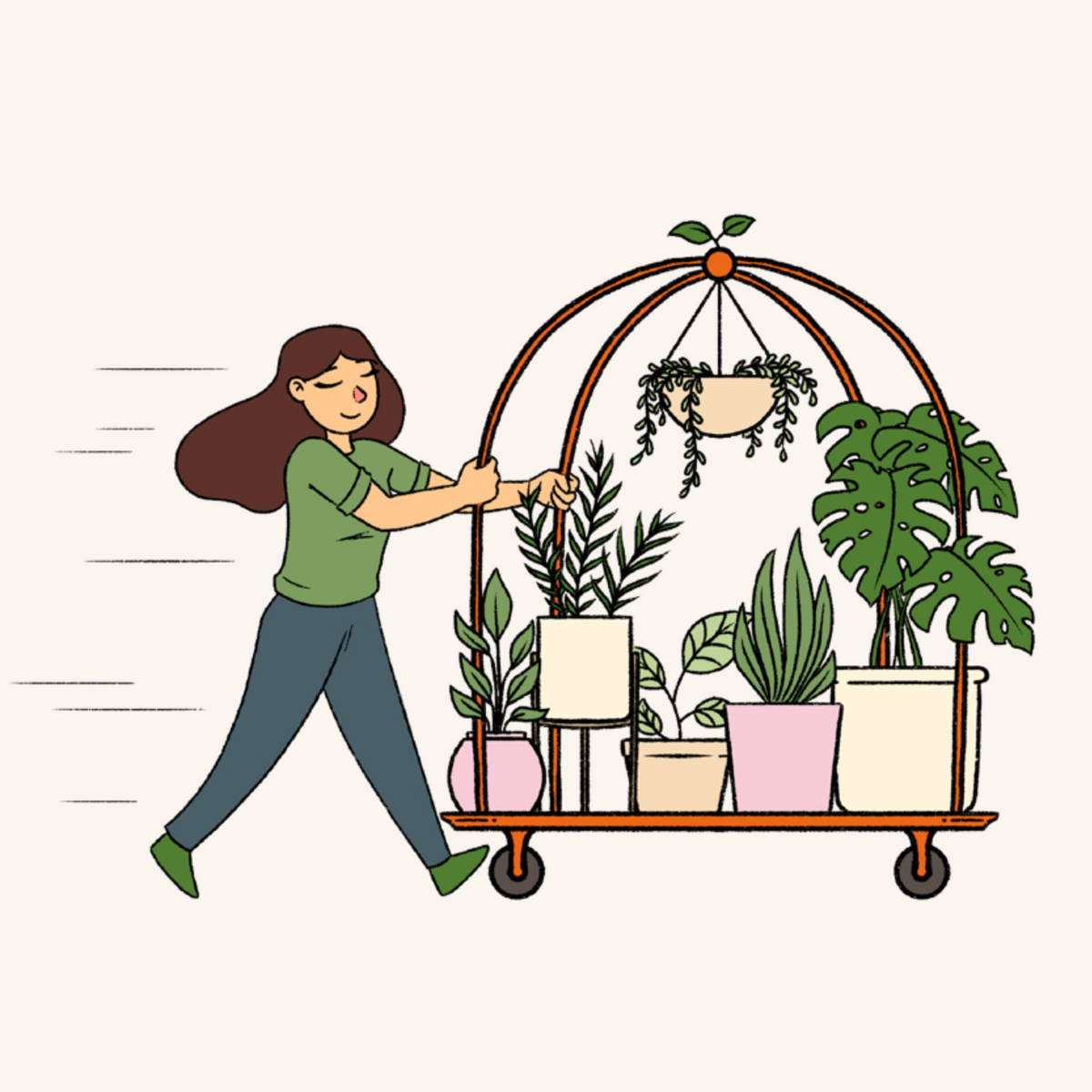 Plant Repotting Service in New York City – Hortihop